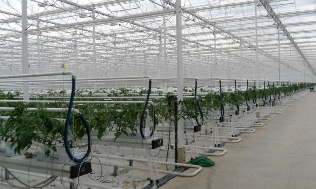 Heating Systems | Prins Greenhouses
