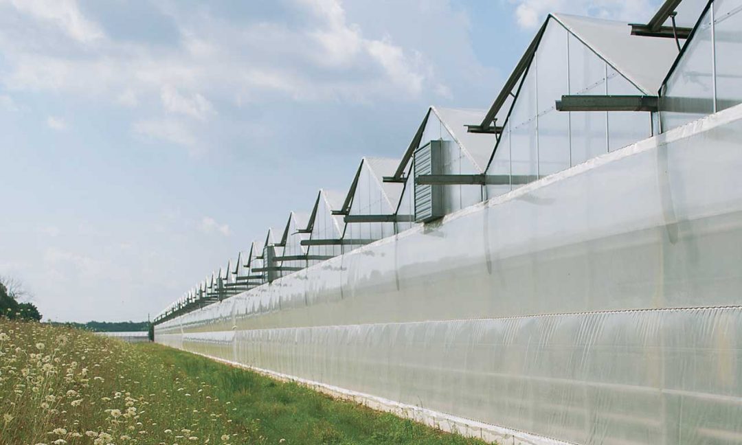 Poly Gutter Connect Greenhouses | Prins Greenhouses